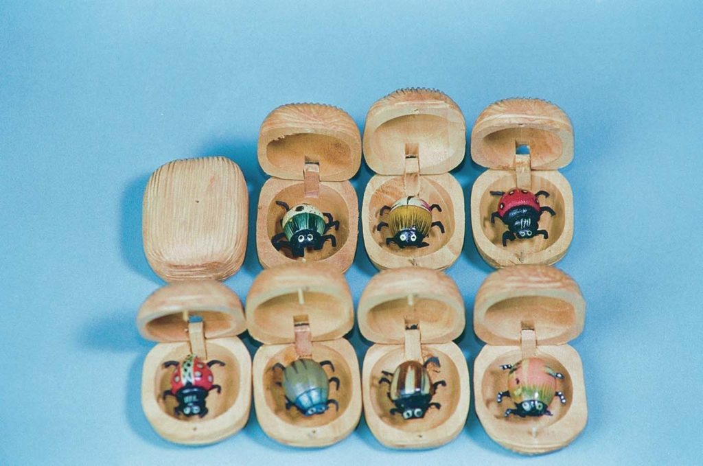 Wooden Mini Bug In A Box – Hillbilly Souvenirs and Gifts